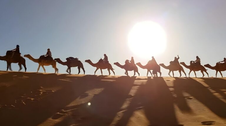 What Animal Was Used to Transport Goods Across the Sahara Desert?