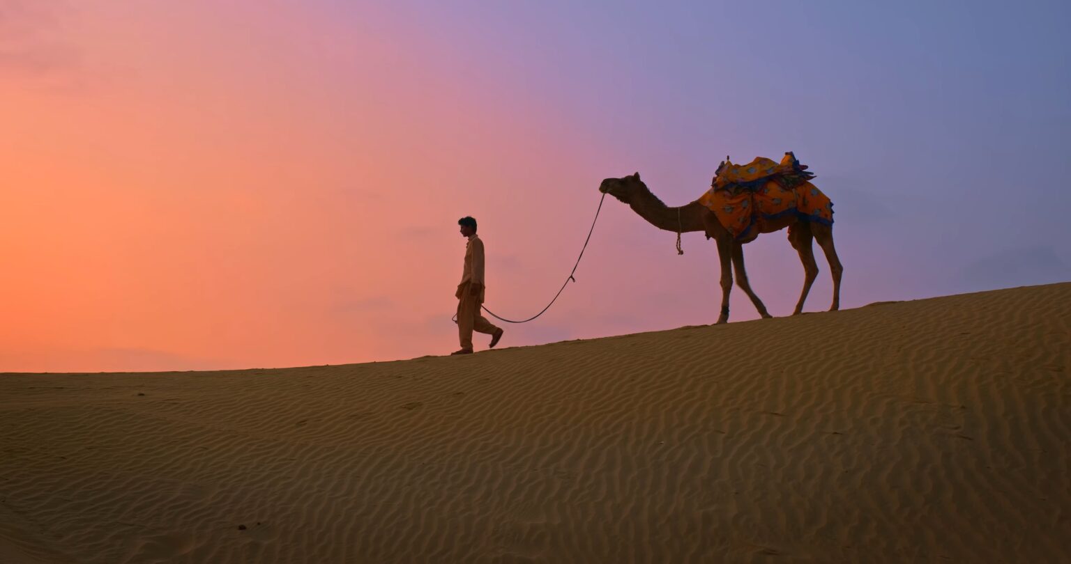 What Animal Was Used to Transport Goods Across the Sahara Desert?