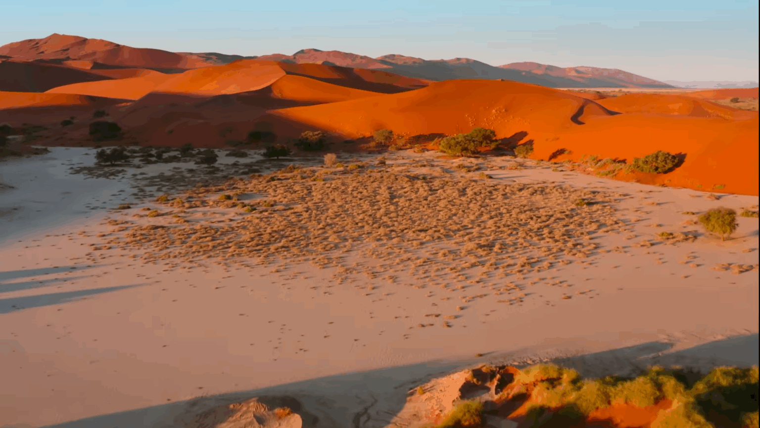 Life in the Namib Desert - Africa's Oldest Desert Ecosystem (2025) - Afjrd